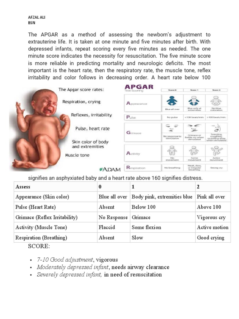 The APGAR Scoring | PDF