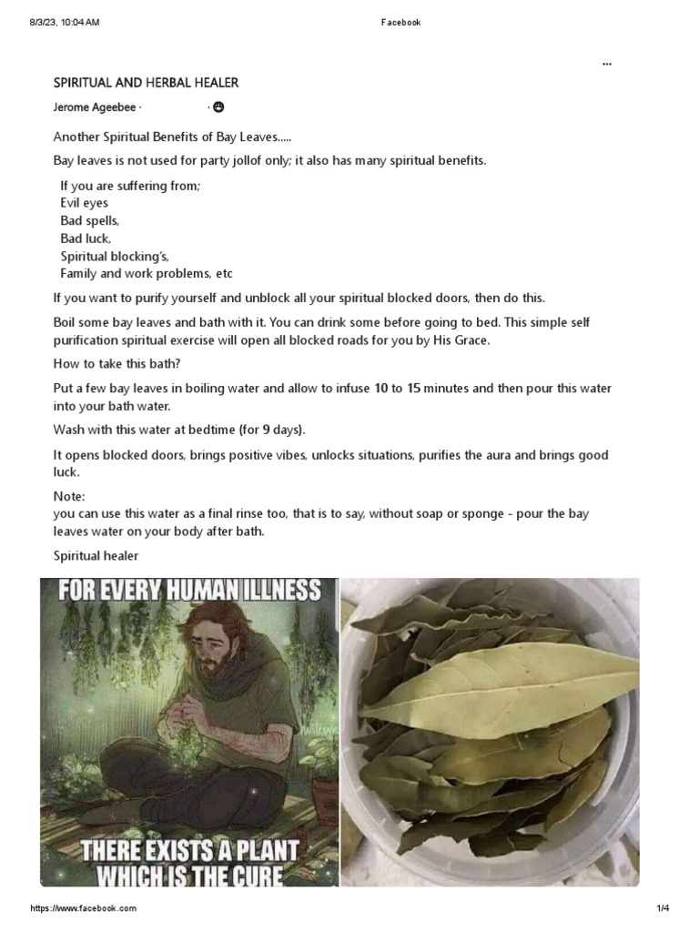 Bay Leave Benefits | PDF