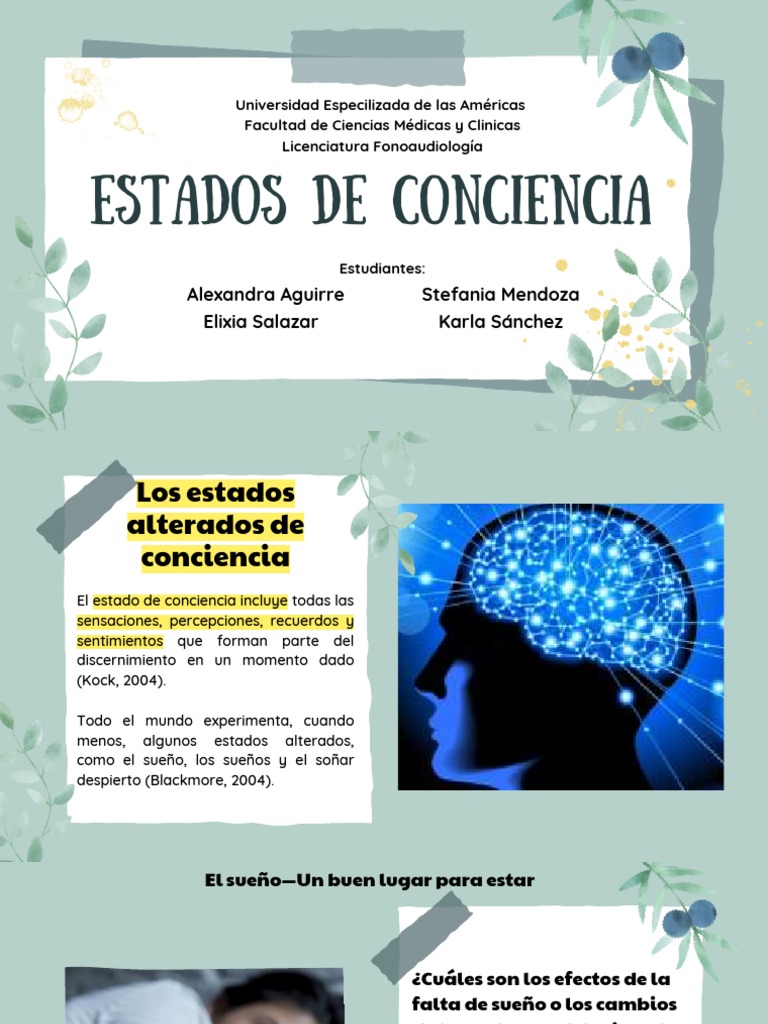 Parcial2PsicoCOG Merged | PDF | Las emociones | Memoria