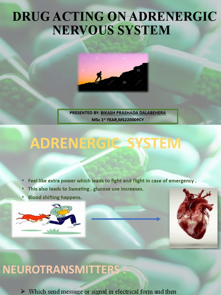 Drug Acting On Adrenergic Nervous System | PDF