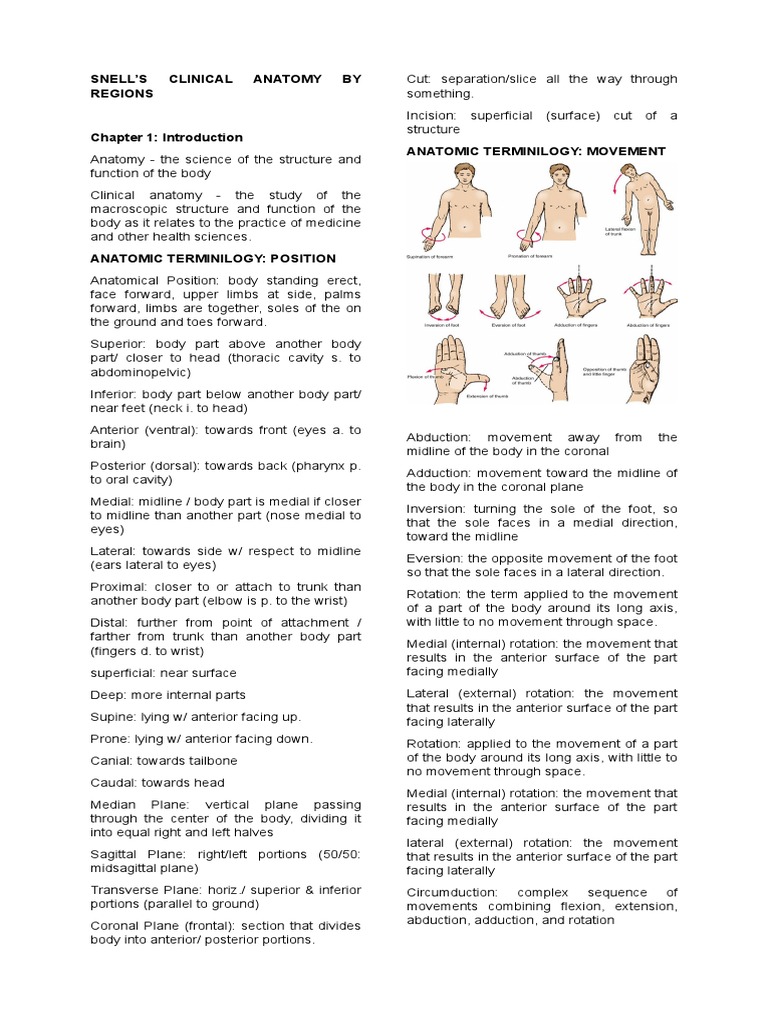 GEN ANA (AutoRecovered) | PDF | Anatomical Terms Of Motion | Anatomical ...