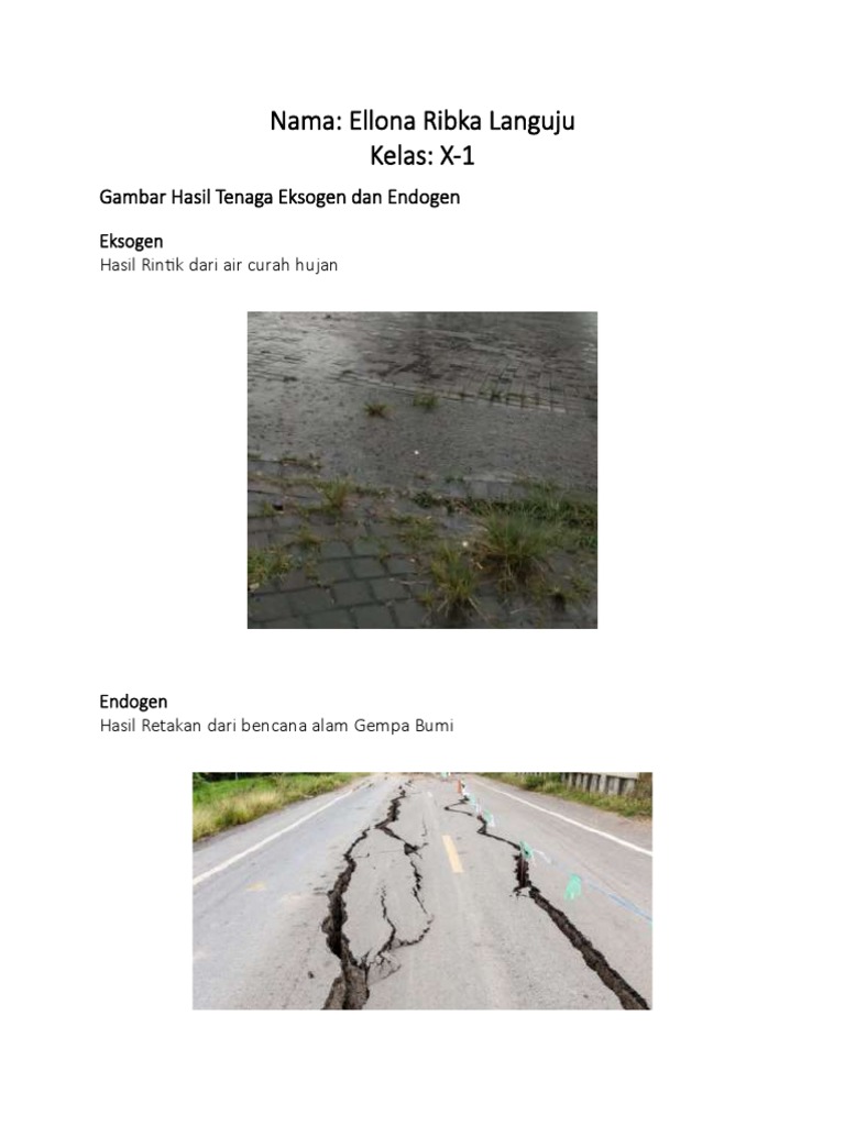 Eksogen Dan Endogen | PDF