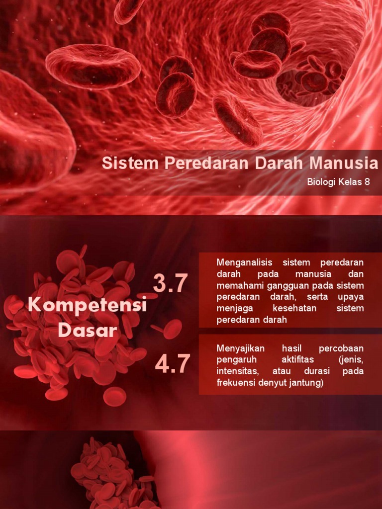 Komponen Darah (Part 1) 2 X 30 Menit | PDF