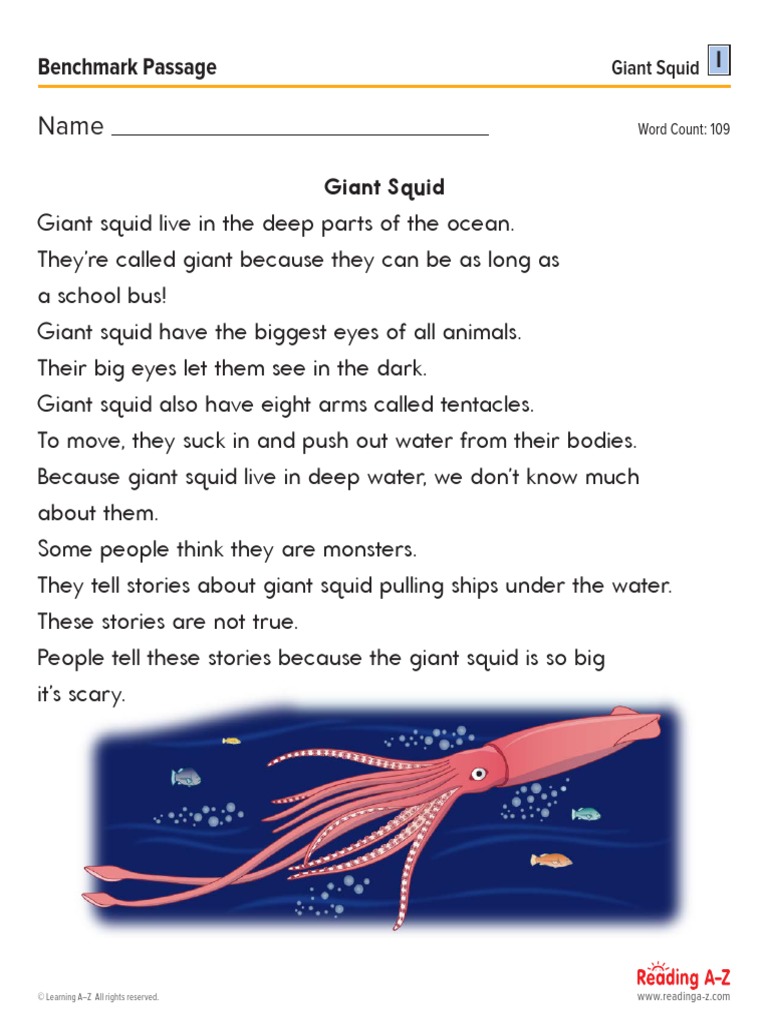 Giant Squid LVL I Passage | PDF