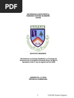 Logos y Colores de la UNACHI | PDF | Color | Creatividad