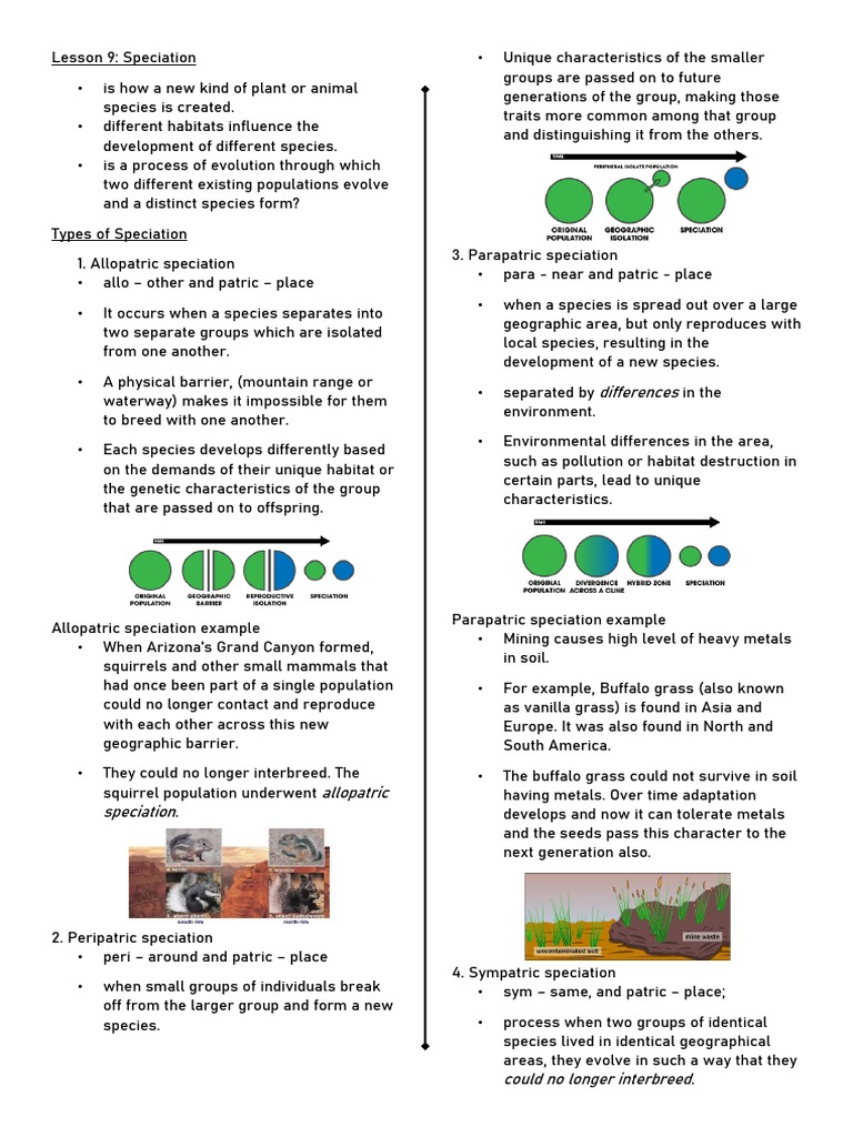Speciation and Evidence of Evolution | PDF