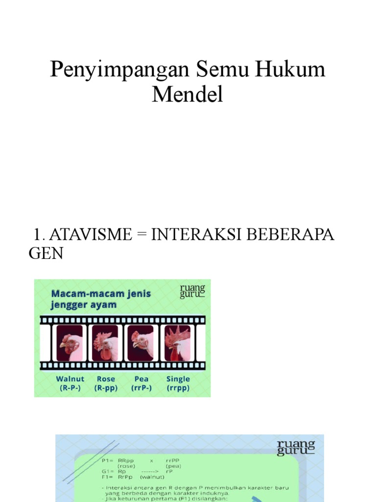 Penyimpangan Semu Hukum Mendel | PDF