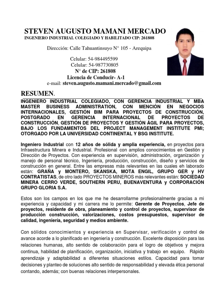 Curriculum Vitae - Steven Augusto Mamani Mercado | PDF