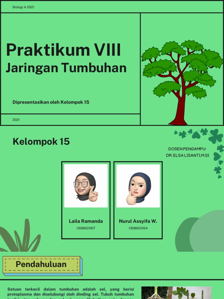 Jaringan Tumbuhan Biologi Umum | PDF | Sains & Matematika