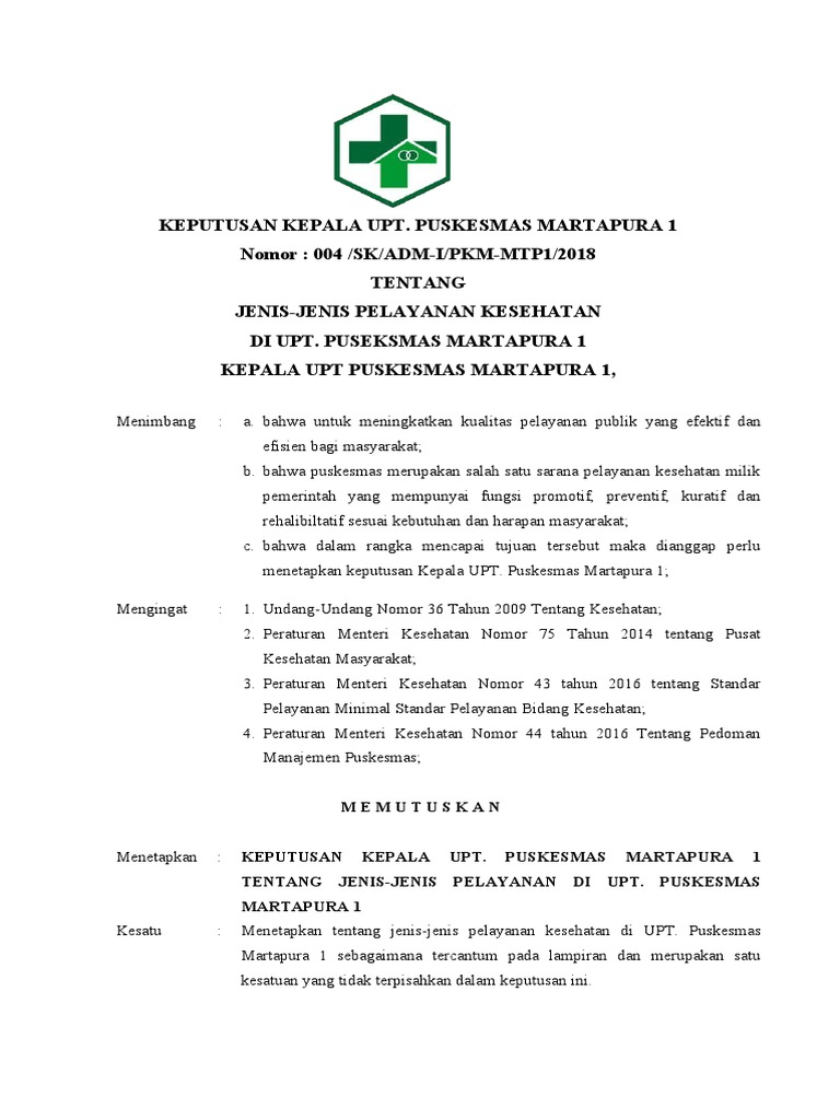 SK Jenis Jenis Pelayanan Kesehatan 2022 | PDF