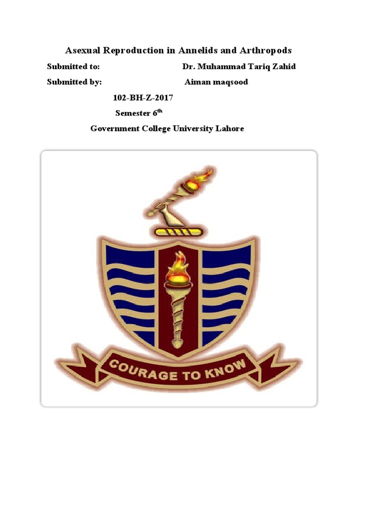 Asexual Reproduction in Invertebrates | PDF | Reproduction | Biological ...