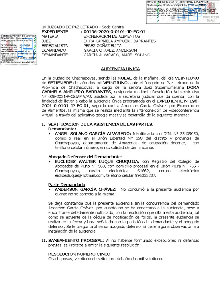 Acta de Audiencia | PDF | Ley procesal | Demanda judicial