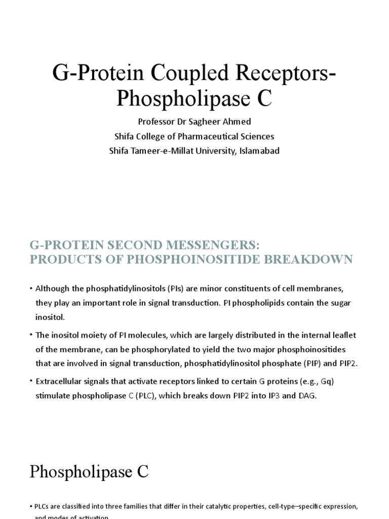 Lecture 3 GPCR-Phospholipase C | PDF | Calcium In Biology | Signal ...