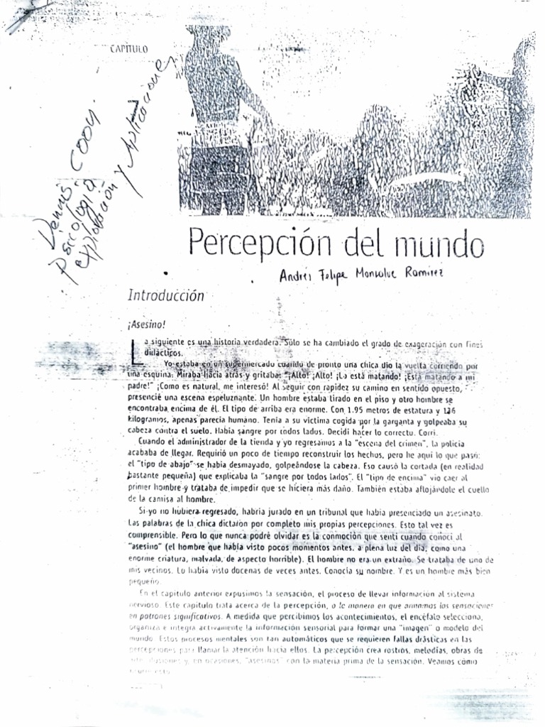 Percepción Del Mundo | PDF
