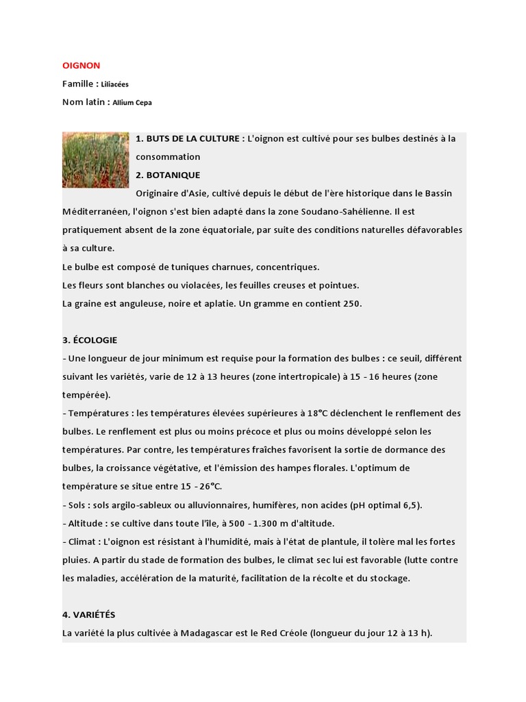 Fiche Technique Oignon | PDF