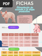 Catálogo de Balanceados para Cerdos | PDF | Cerdo | Alimentos
