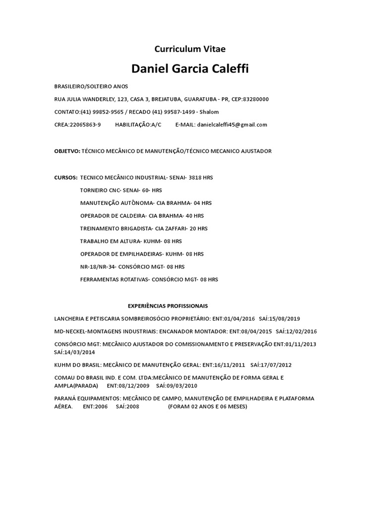 Curriculum Daniel Caleffi | PDF | Tecnologia e Engenharia