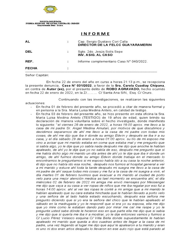 Informe Complementario | PDF