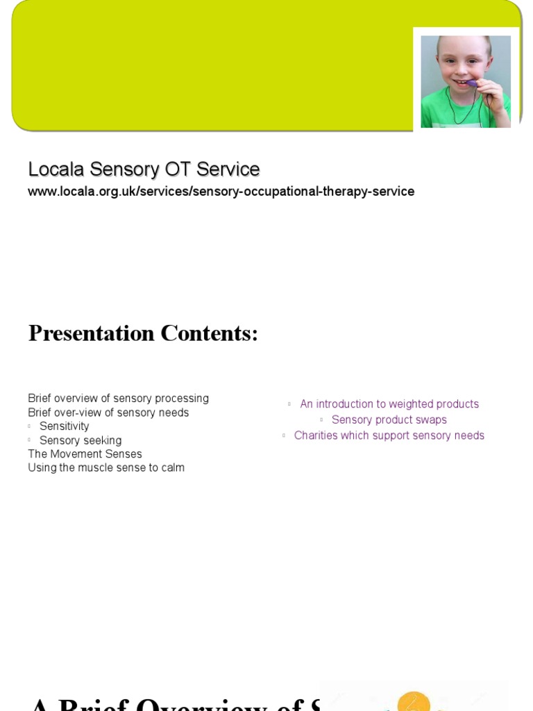Understanding Sensory Needs and Strategies | PDF | Senses | Neuroscience