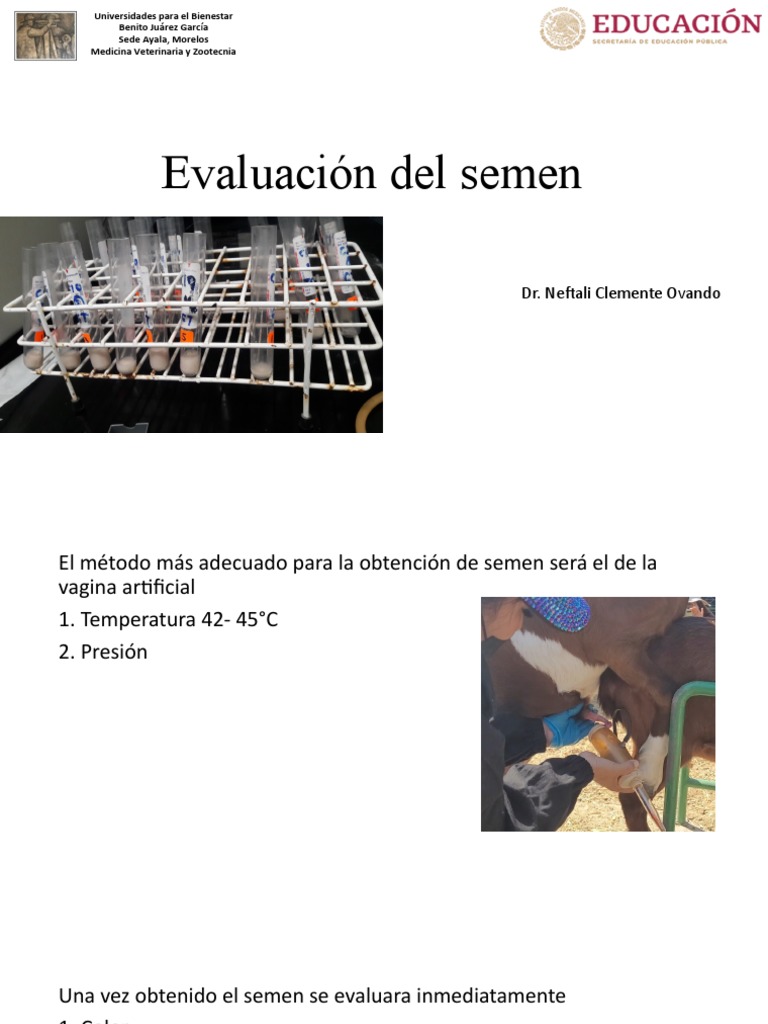 Evaluacion Del Colecta y Semen | PDF