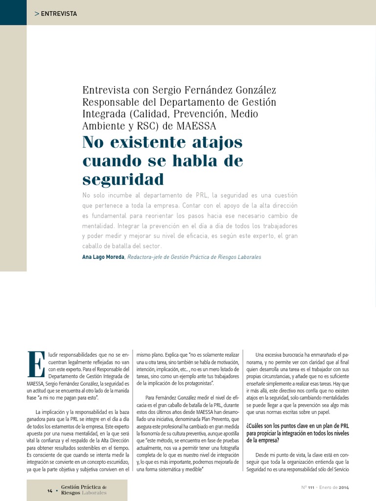 Seguridad Integral en MAESSA | PDF