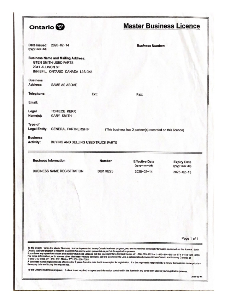 Master Business Licence | PDF