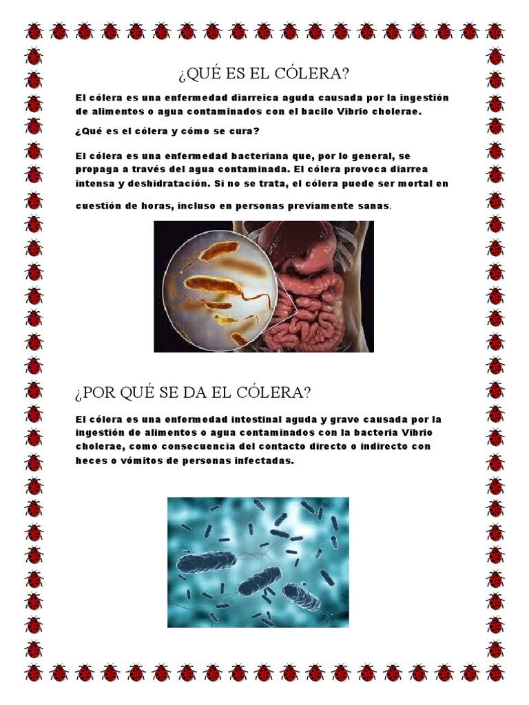 Causas y Tratamiento del Cólera | PDF | Diarrea | Cólera