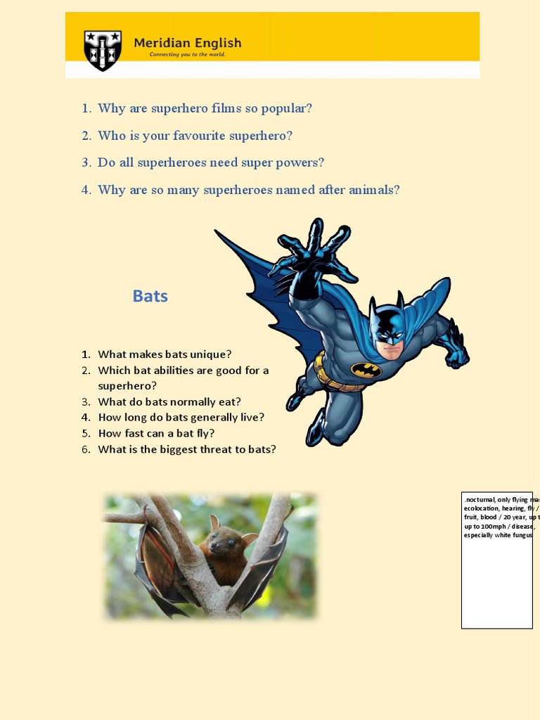 Bats | PDF