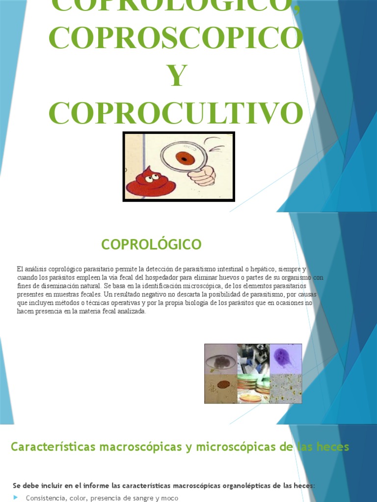 Diferencias entre coprológico y coproscópico | PDF