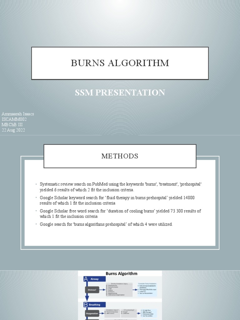 Burns Algorithm | PDF | Burn | Emergency Medical Services