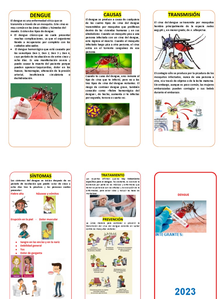 Dengue: Causas, Síntomas y Prevención | PDF