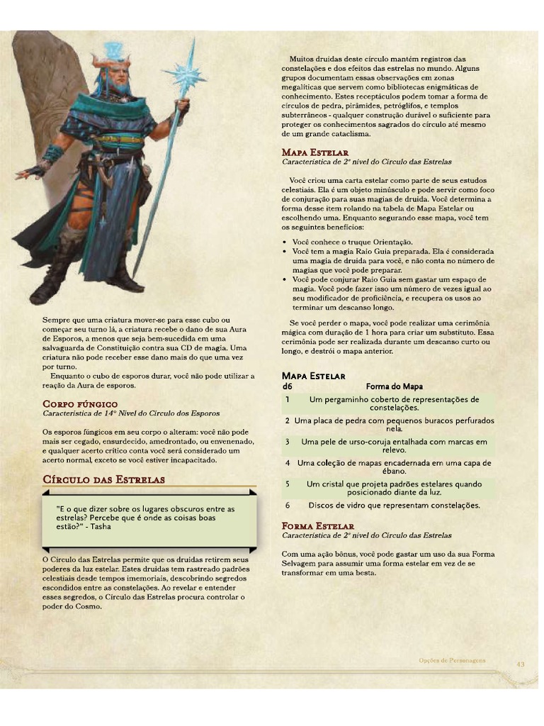 Druid | PDF