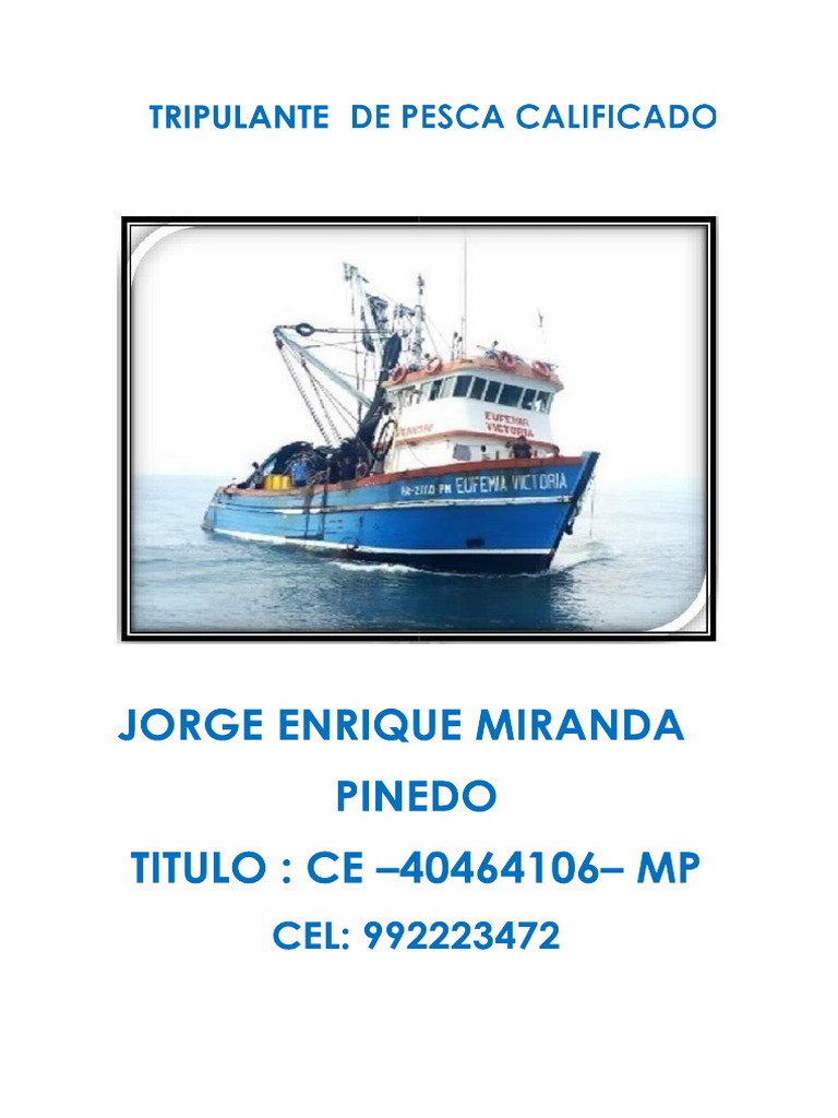 Jorge Miranda CV | PDF