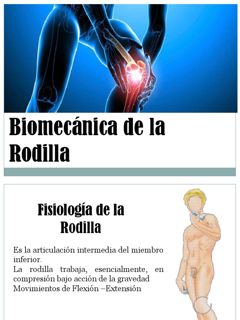 Biomecanica de La Rodilla | PDF | Rodilla | Sistema musculoesquelético