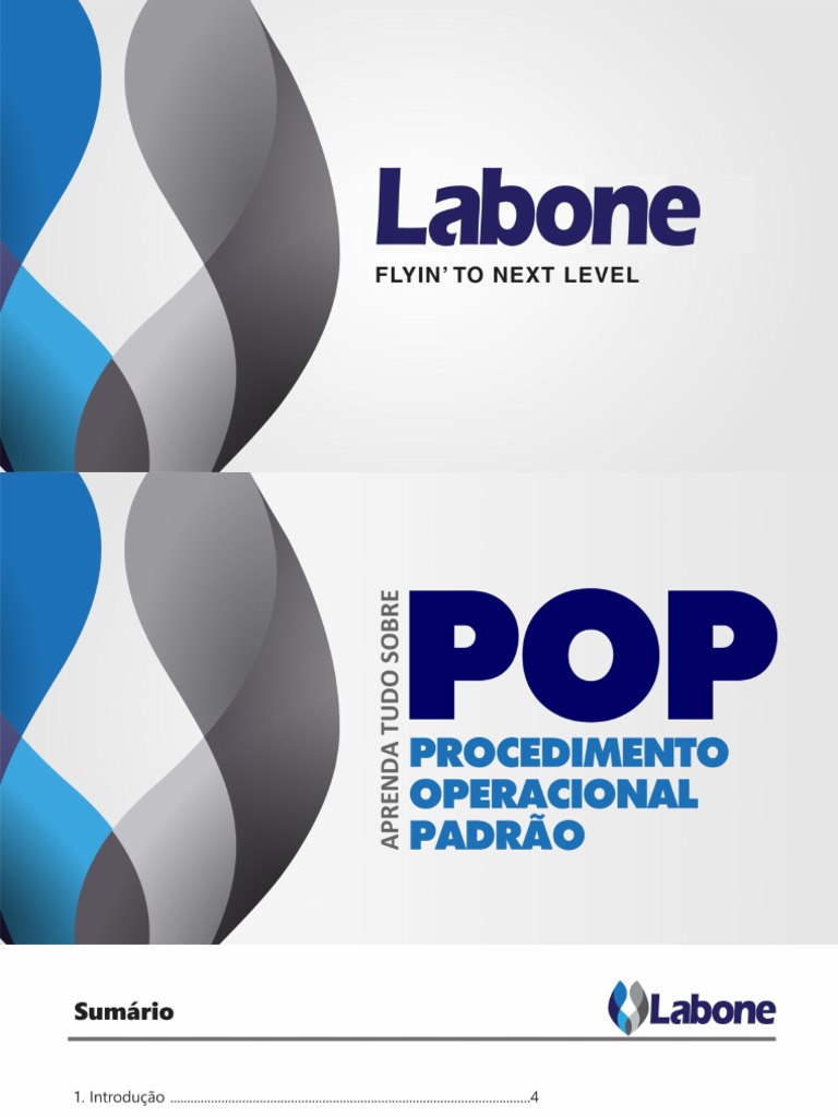 O Que É POP e Como Usar | PDF