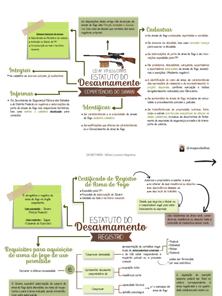 Estatuto do Desarmamento: Lei 10.826/2003 | PDF | Visão geral das leis ...