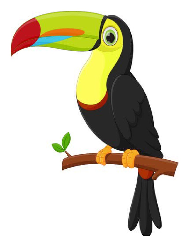 Tucan | PDF