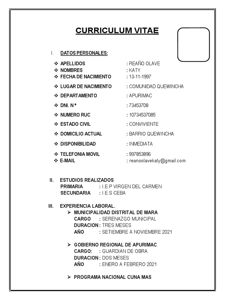 CV Katy Reaño | PDF