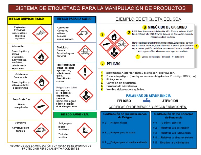 Sga Imagen | PDF
