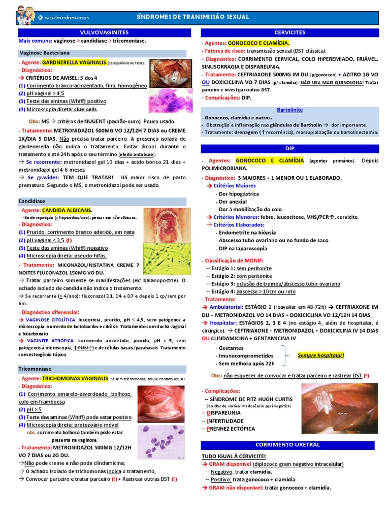 DST (resumo) | PDF | Saúde pública | Imunologia