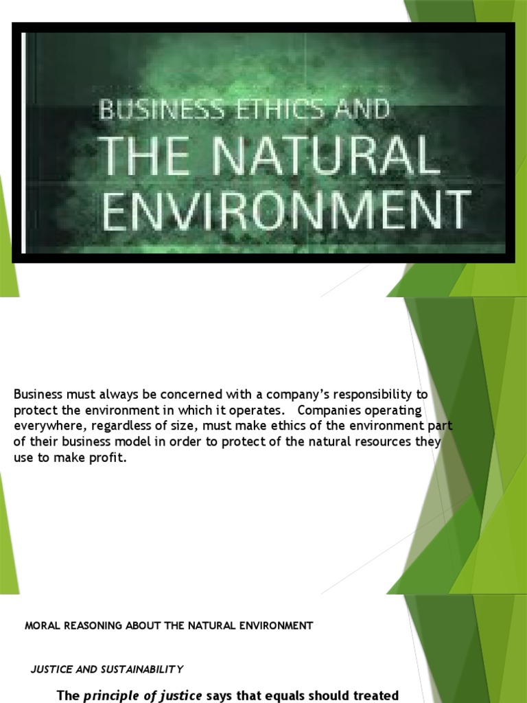Business Etchis and The Natural Environment | PDF
