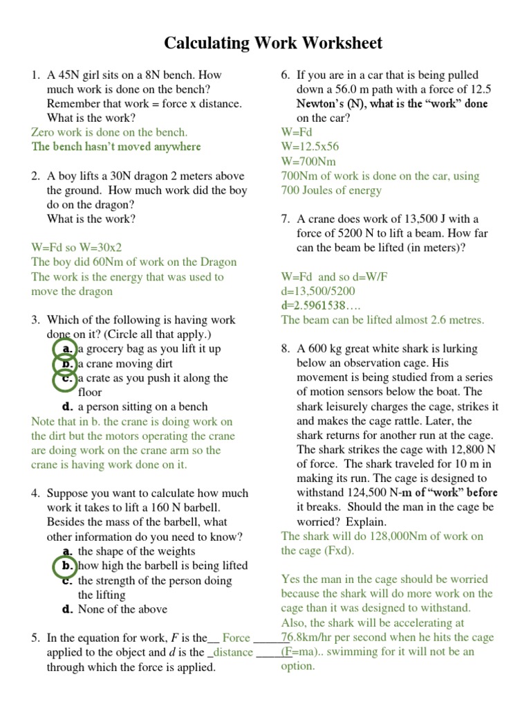 Calculating_Work_Wksht_2-1 answers | PDF