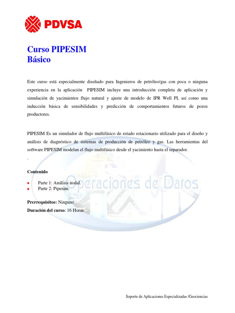 Contenido Programatico Pipesim Básico D.U | PDF