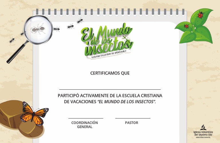 Certificado - Ecf 2022 - Esp | PDF