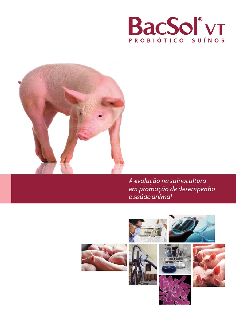 Bacsol (SUINOS) | PDF | Ciências e Matemática | Tecnologia e Engenharia