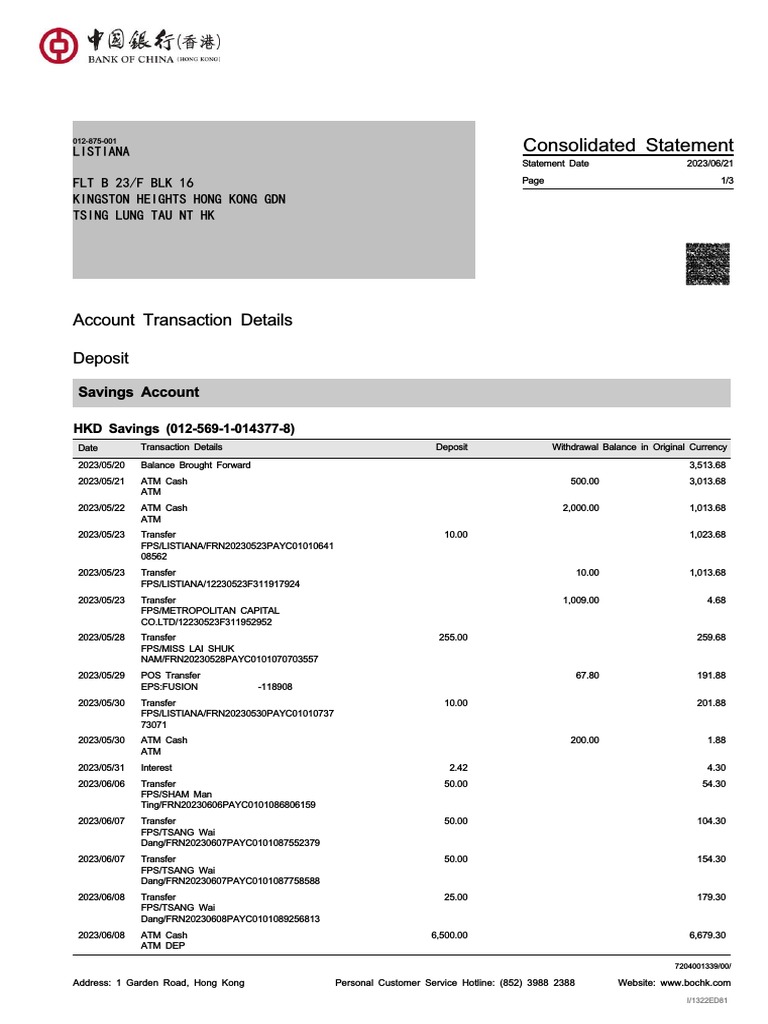 Account Transaction Details: Consolidated Statement | PDF