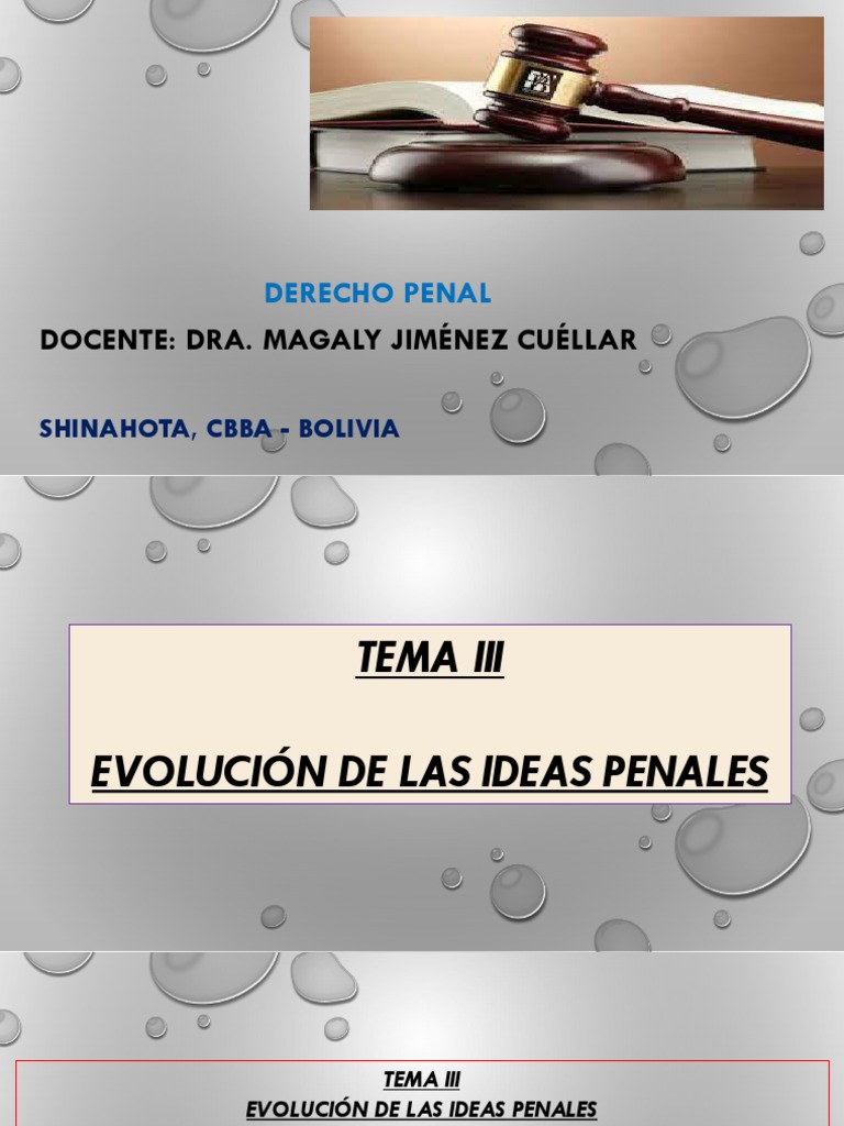 Tema 3 Derecho Penal | PDF | Derecho penal | Debido al proceso