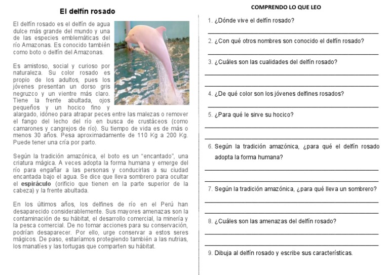 El Delfín Rosado Es El Delfín de Agua Dulce Más Grande Del Mundo y Una ...