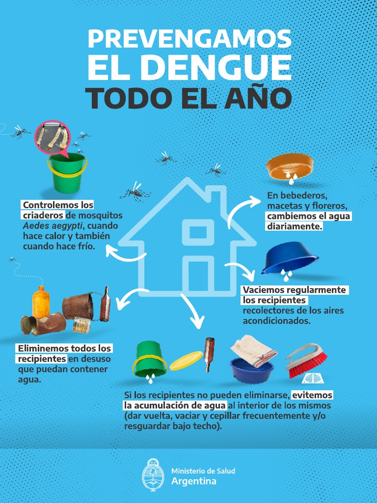2023 06 Afiche Dengue 50x70 Web | PDF