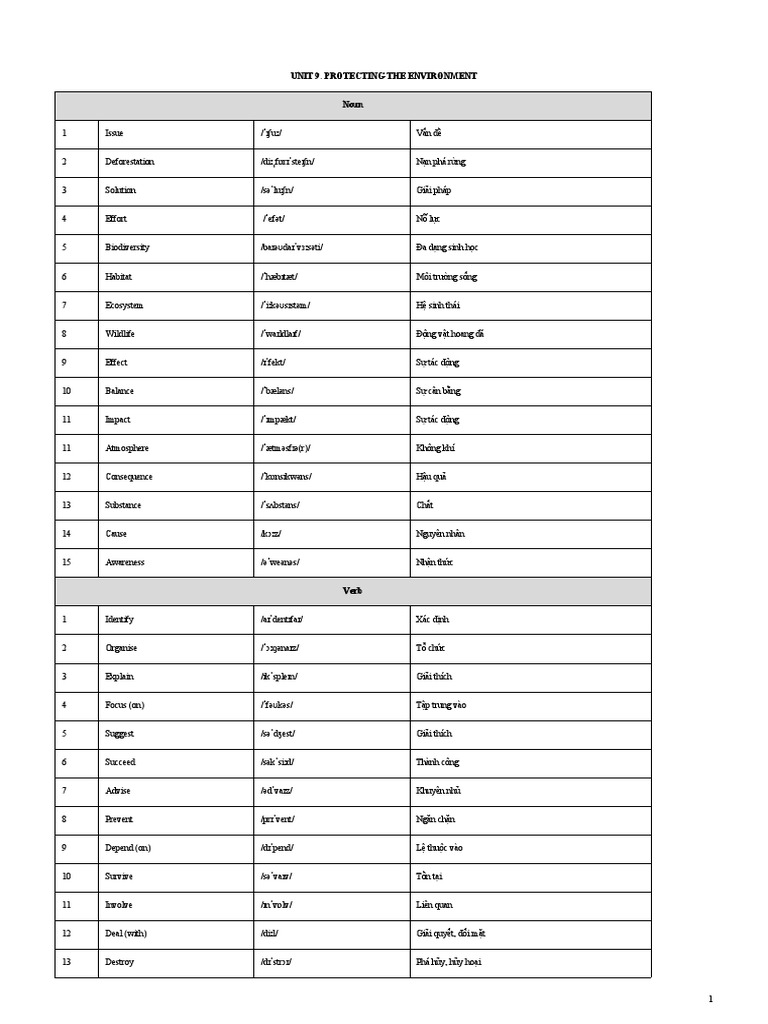 Unit 9 Protecting The Environment | PDF